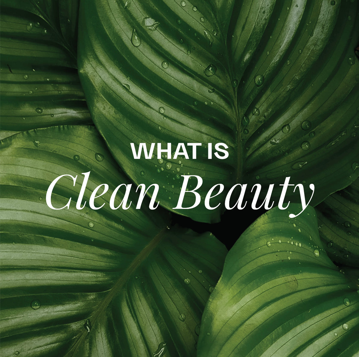 What is Clean Beauty | Beauty Story